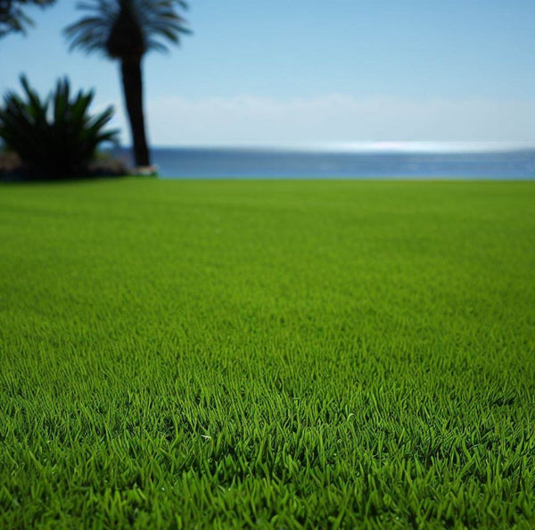 Argentine Bahia Grass Seed - Coated (Grass Seed) – MySeedsCo