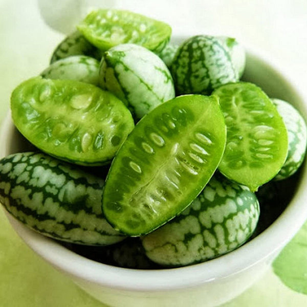 Mouse Melon Cucumber, Slicing (Melothria scabra) – MySeedsCo